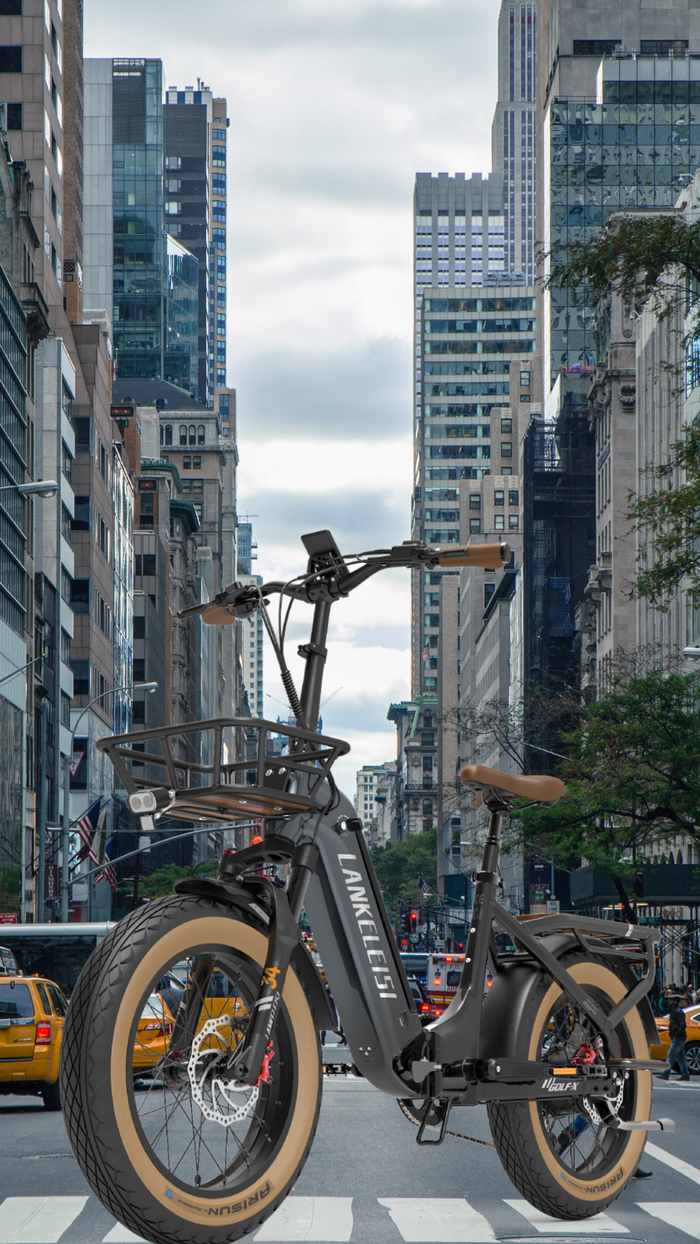 Lankeleisi-EU Official Site|Dual Motor E-bikes|Three Years Warranty